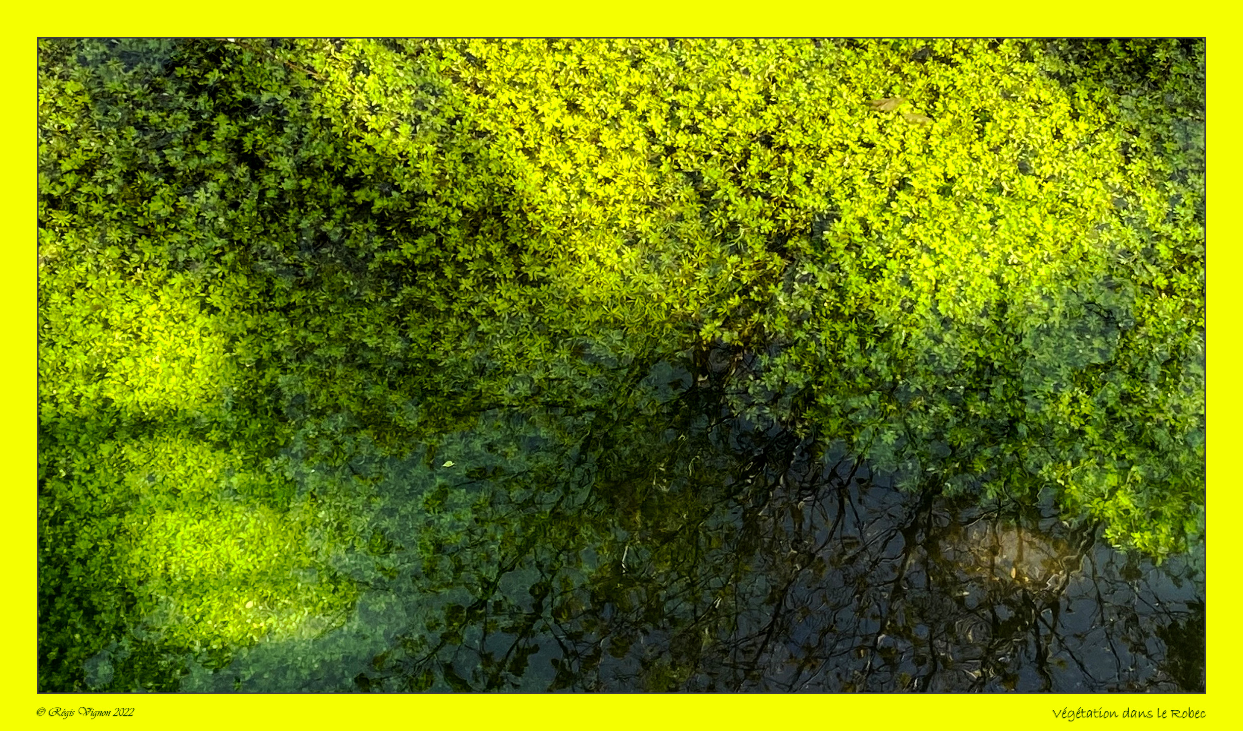 Le long du Robec | Maux & Cris